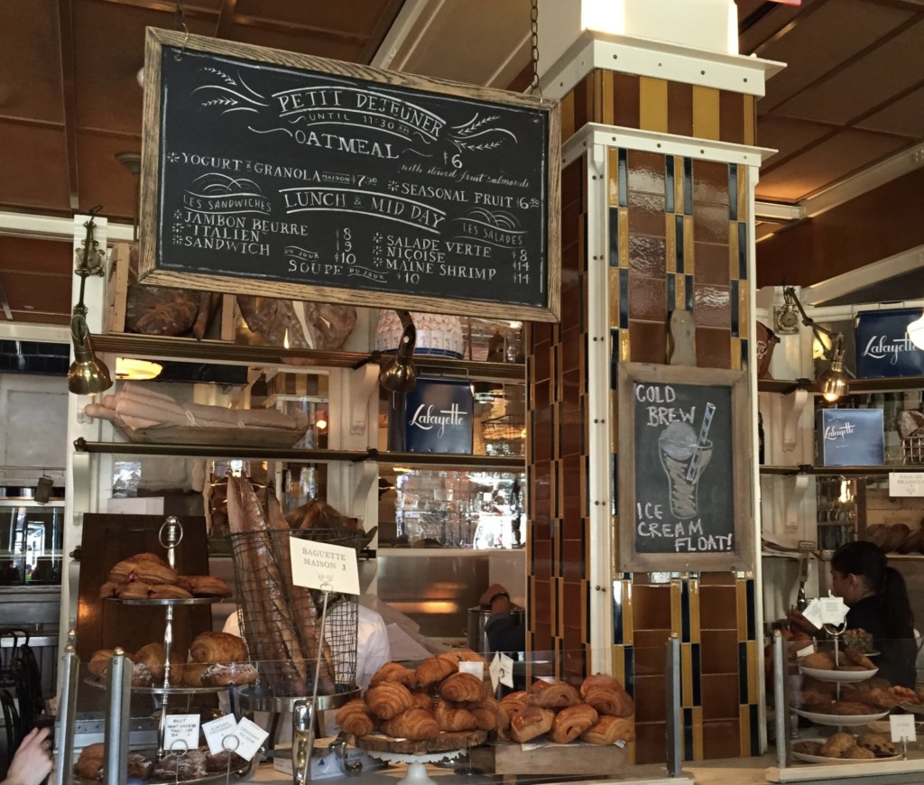 猫が30歳まで生きる時代へ！宮崎徹教授によるAIM研究の最前線と治療の可能性 | Rag & Lop