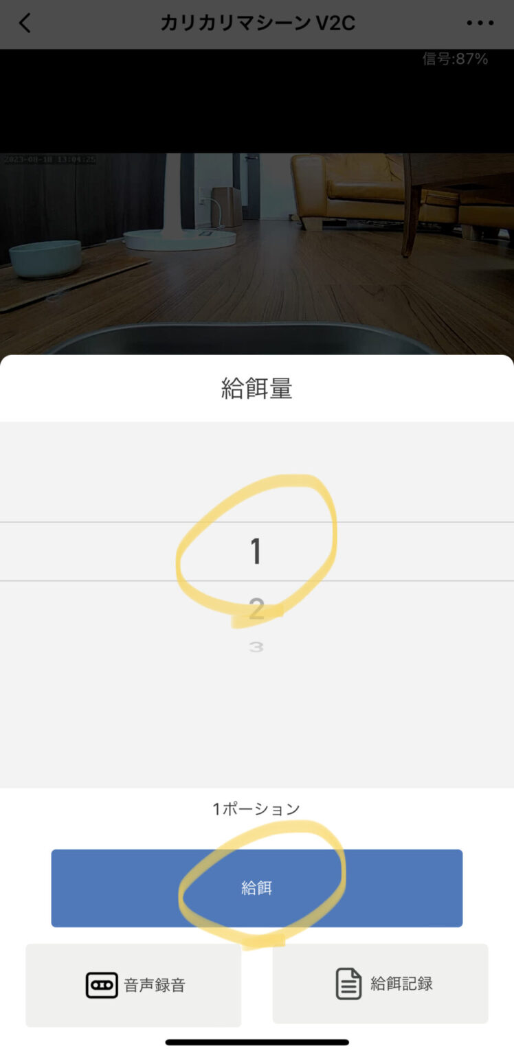 【もっと早く知りたかった！】カリカリマシーンV2Cの本音レビュー｜自動給餌器 | Rag & Lop