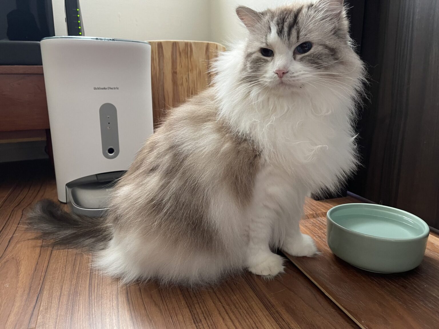 【もっと早く知りたかった！】カリカリマシーンV2Cの本音レビュー｜自動給餌器 | Rag & Lop