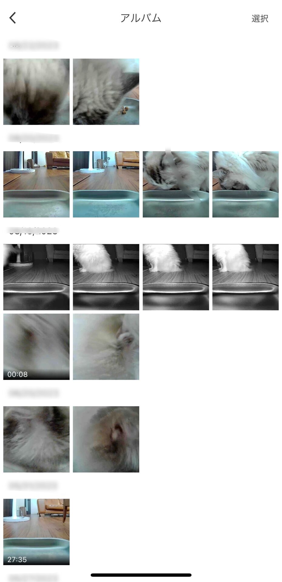 【もっと早く知りたかった！】カリカリマシーンV2Cの本音レビュー｜自動給餌器 | Rag & Lop